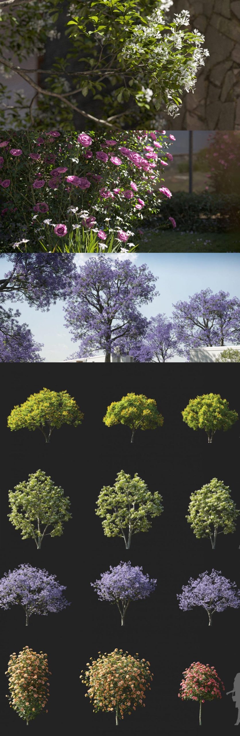 高品质花园公园植物3D模型 Maxtree – Plant Models Vol. 107（MAX FBX） – CGPepper-专注优质三维资源