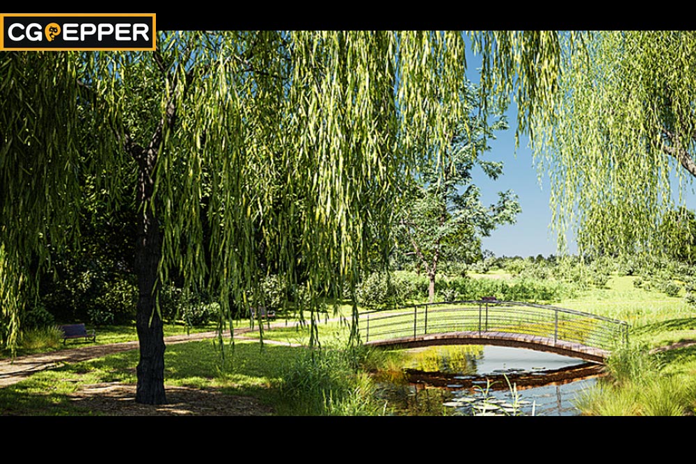 Blender植物树木草地模型预设 Botaniq Tree And Grass Library V6.6.1 – CGPepper-专注优质三维资源