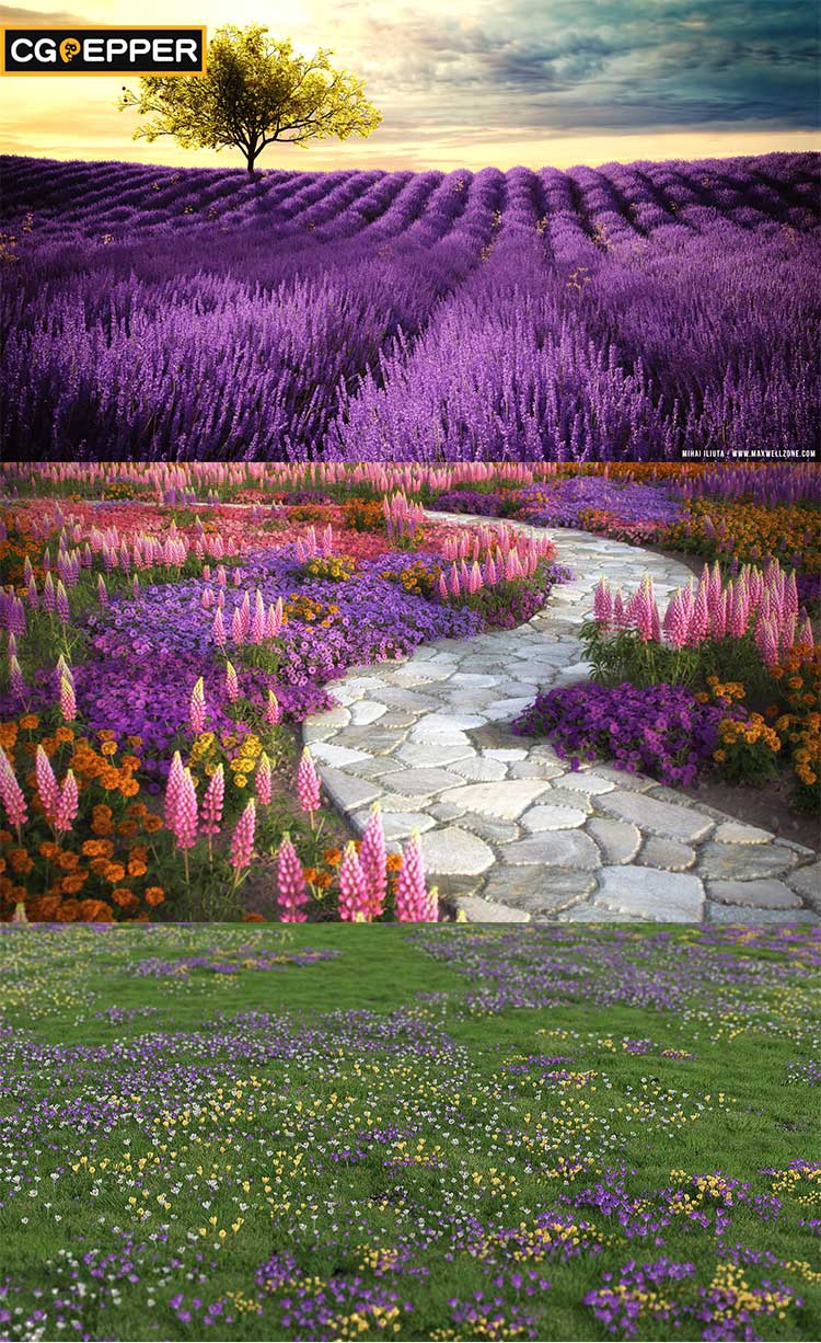 3DS MAX花园花卉模型库花朵植物3D模型 Vizpark – Real Flowers – CGPepper-专注优质三维资源