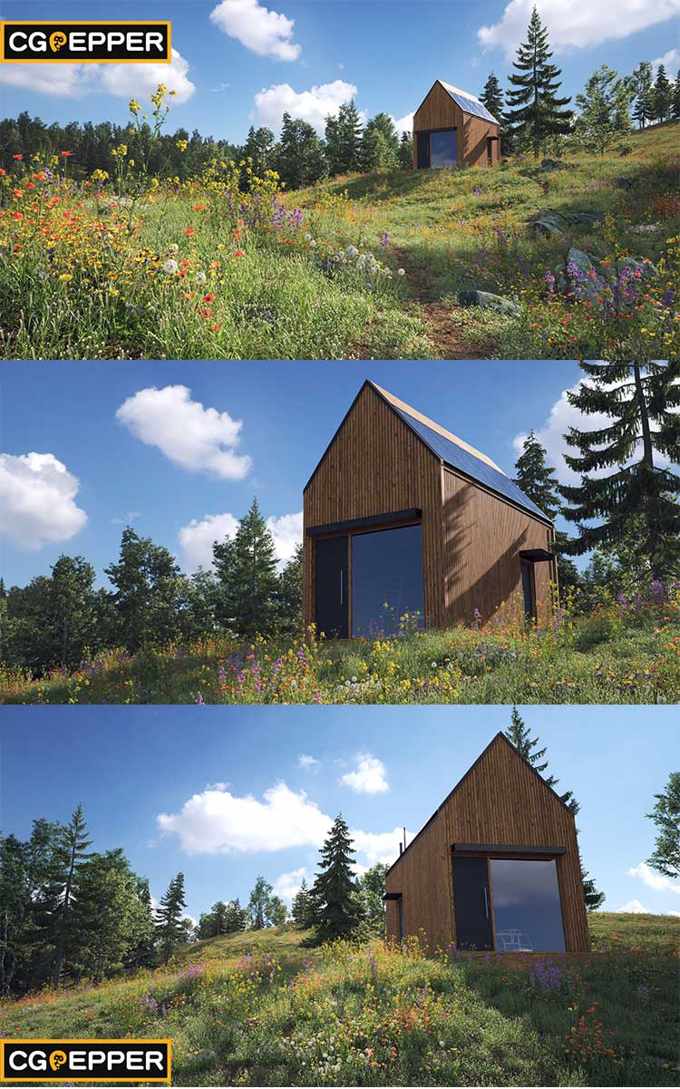 野花鲜花蒲公英非洲菊报春花植物3D模型-Evermotion – Archmodels vol. 252 (3DS MAX格式) – ...