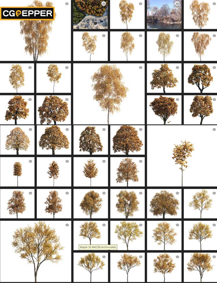 春夏秋冬植物绿植柳树黄叶树木3D模型 Evermotion – Archmodels Vol.258 (3DS MAX/FBX格式) – ...